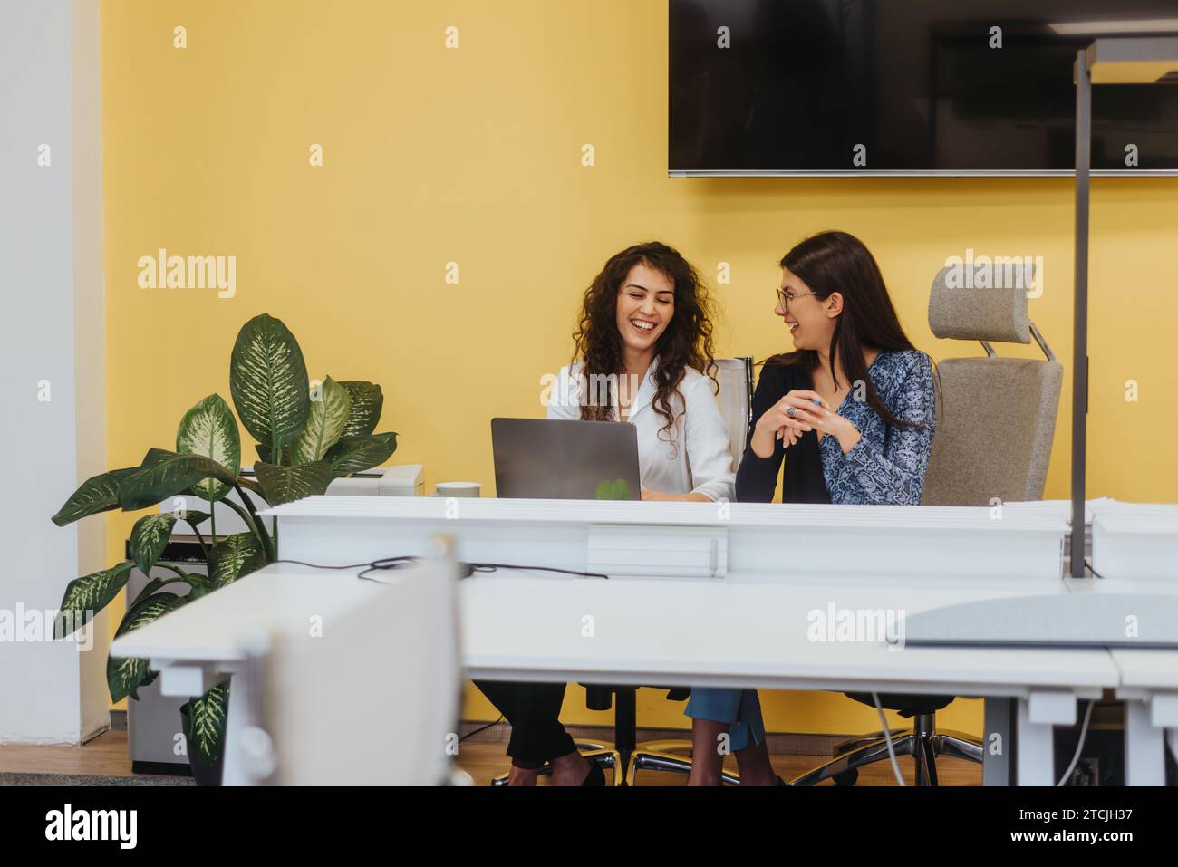 Two, young women collaborate in a modern office. They discuss market ...