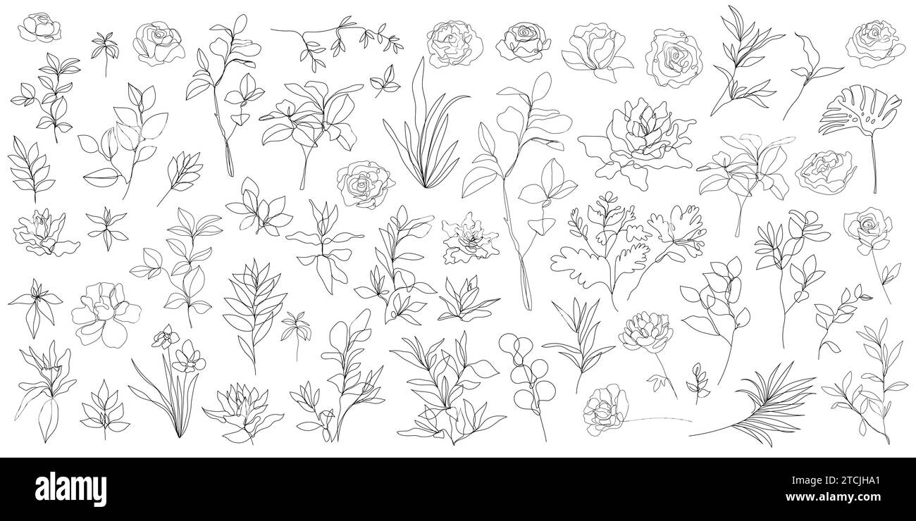 Line Art Flowers And Plants at Jerome Henderson blog