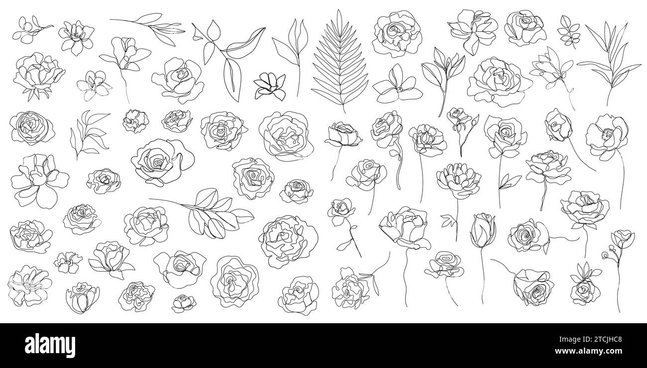 Vector set of one line art flowers, continuous monoline plants, roses ...