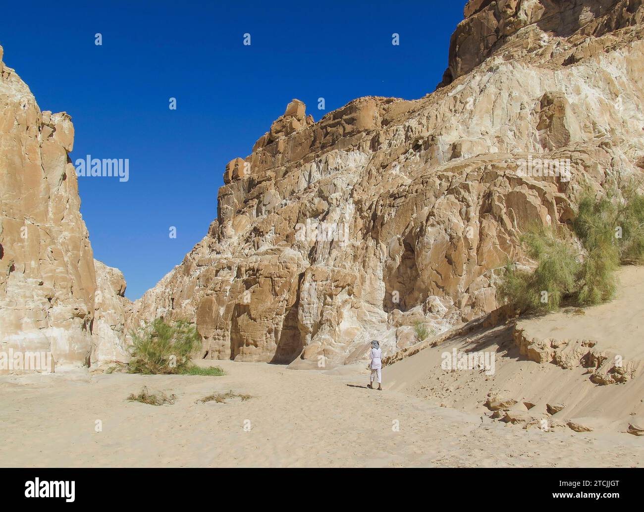Beduine im White Canyon, südlicher Sinai, Ägypten *** Bedouin in the ...