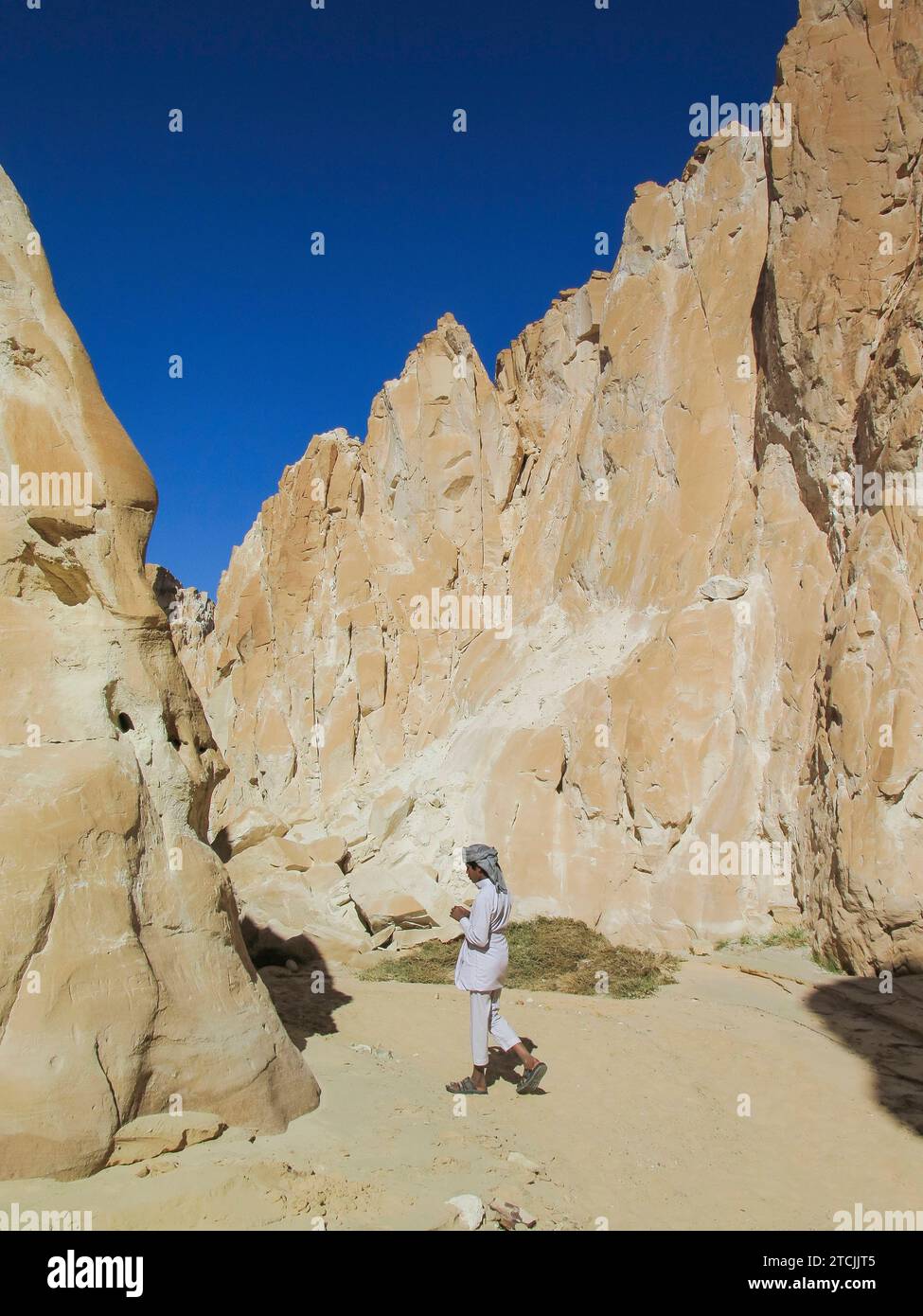 Beduine im White Canyon, südlicher Sinai, Ägypten *** Bedouin in the ...