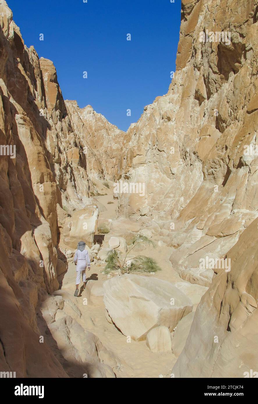 Beduine im White Canyon, südlicher Sinai, Ägypten *** Bedouin in the ...