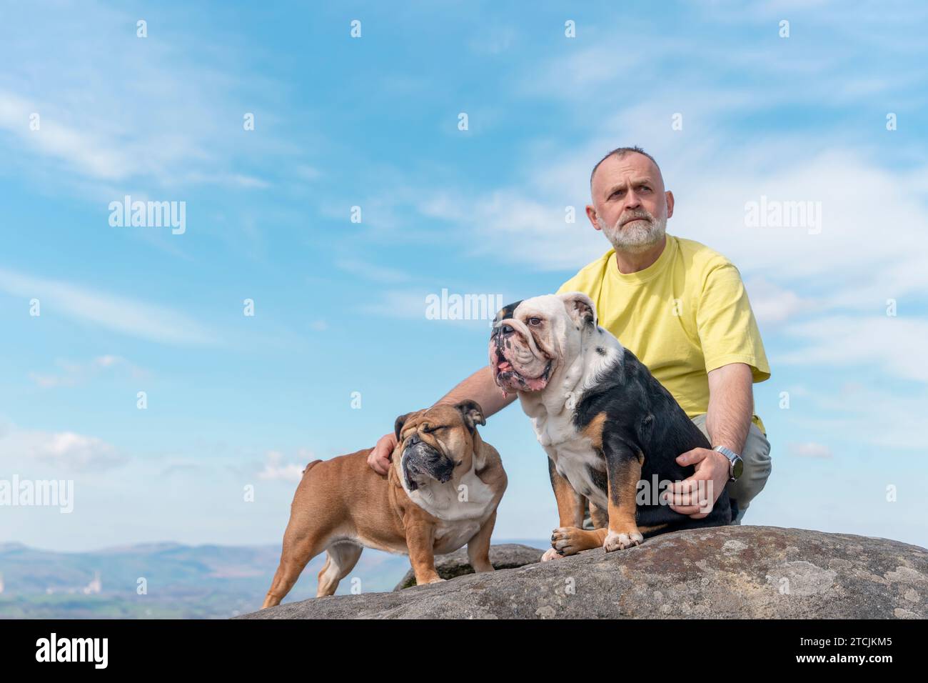 Retired happy retirement dog hi-res stock photography and images - Alamy