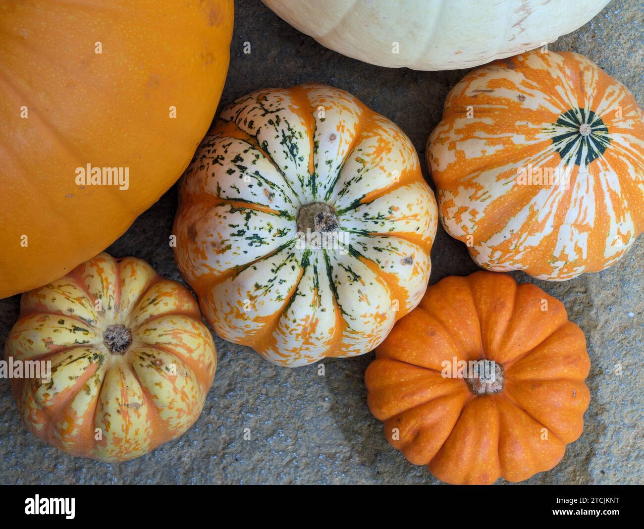 Shapes and sizes of pumpkins hi-res stock photography and images - Alamy