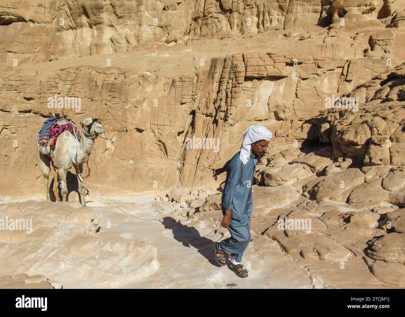 Beduine führt Kamel, Landschaft im südlichen Sinai zwischen Ain Khudra ...