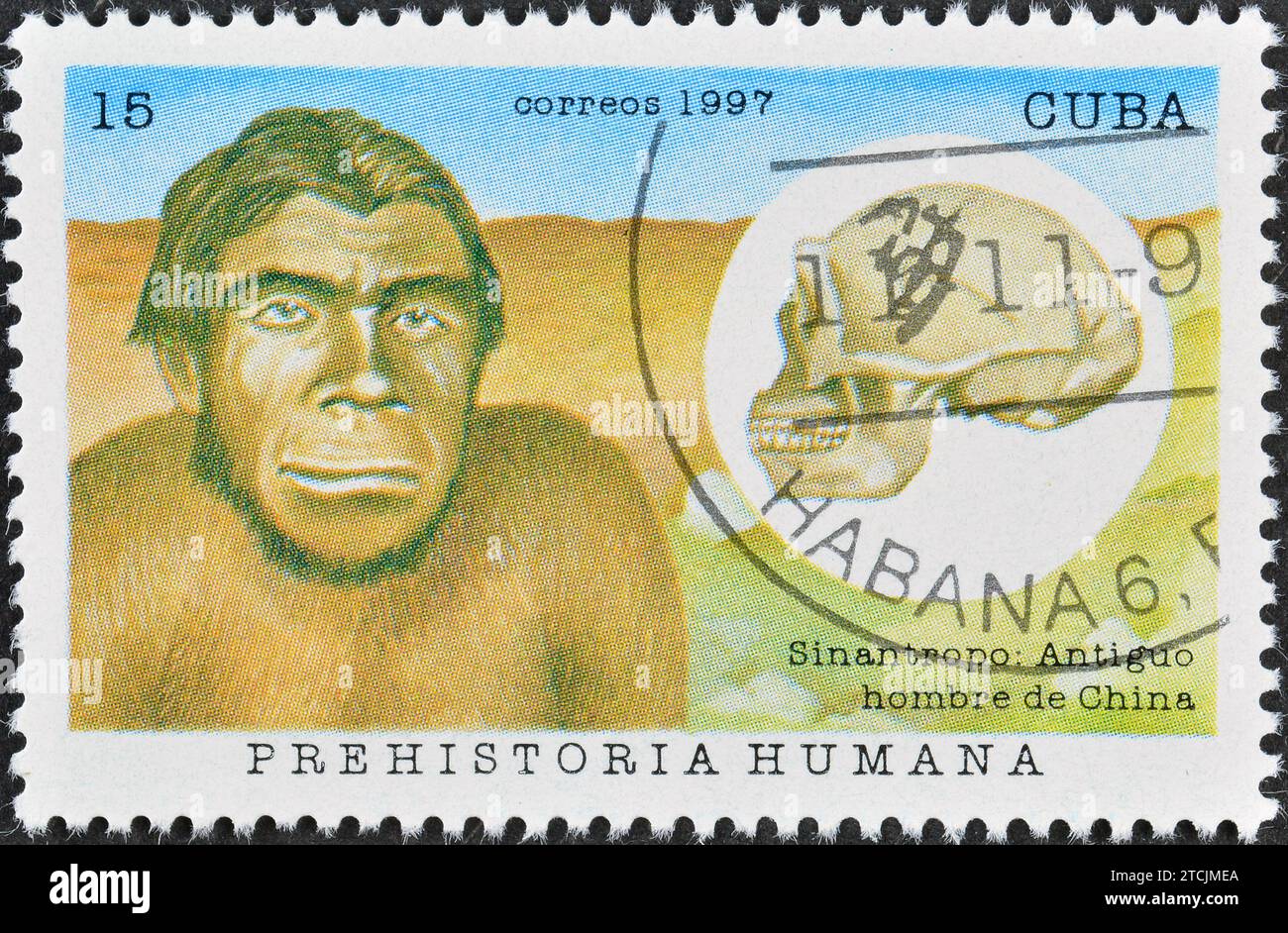 Cancelled postage stamp printed by Cuba, that shows Sinanthropus ...