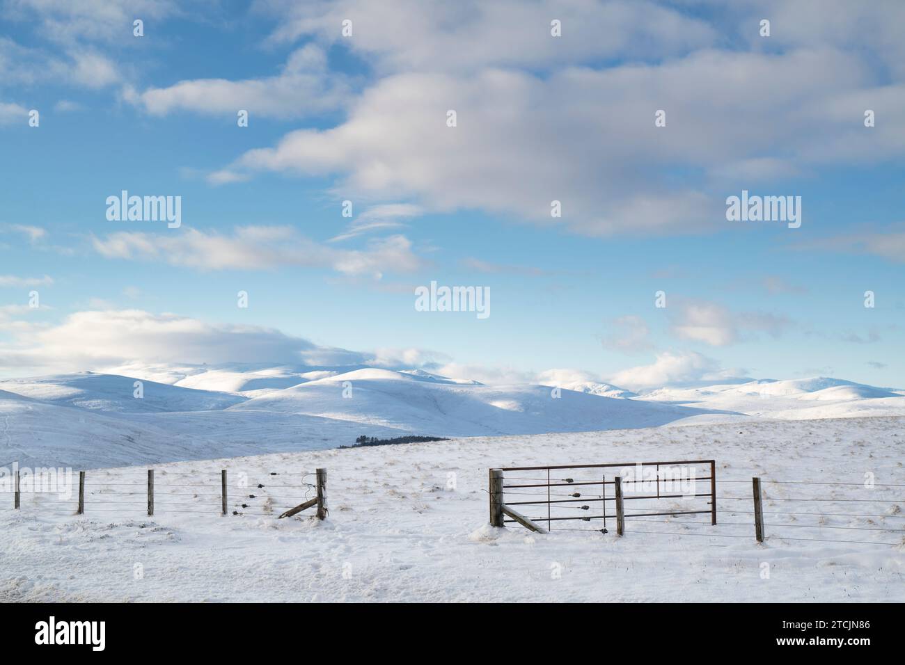 Cairngorms in the snow and blue sky. Highlands, Scotland Stock Photo ...