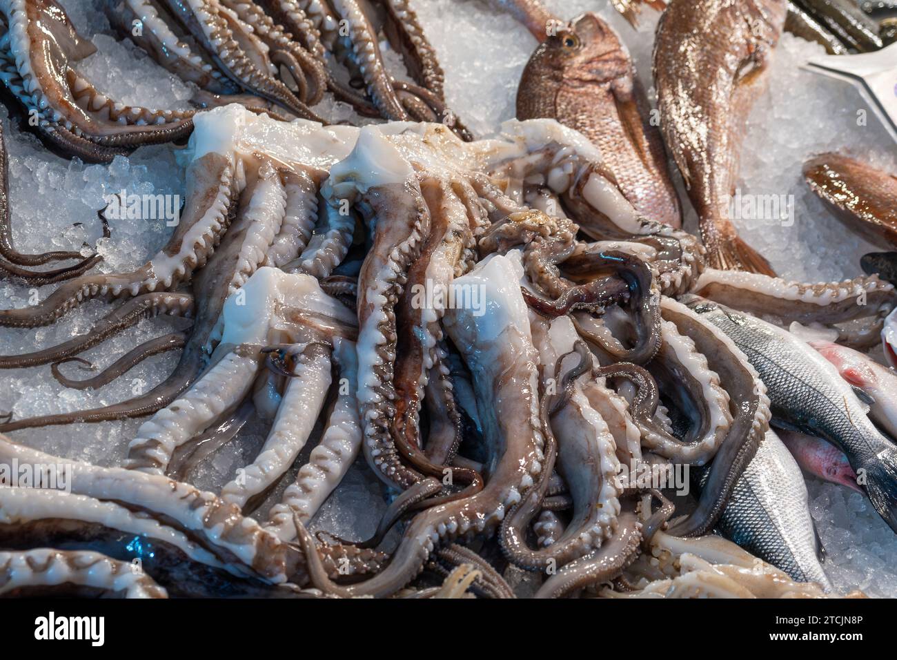 Fresh raw octopuses and fish lying on ice counter at seafood market in ...