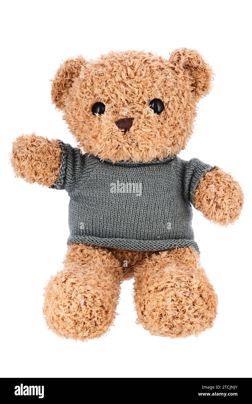 Teddy bear fluffy vintage plush toy favourite of kids isolated on white ...
