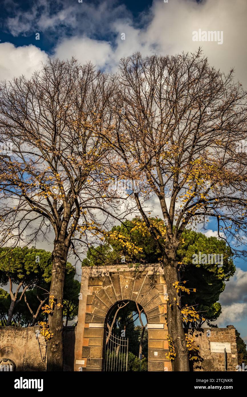Rome, the capital city of Italy, travel perspective at the Orange ...