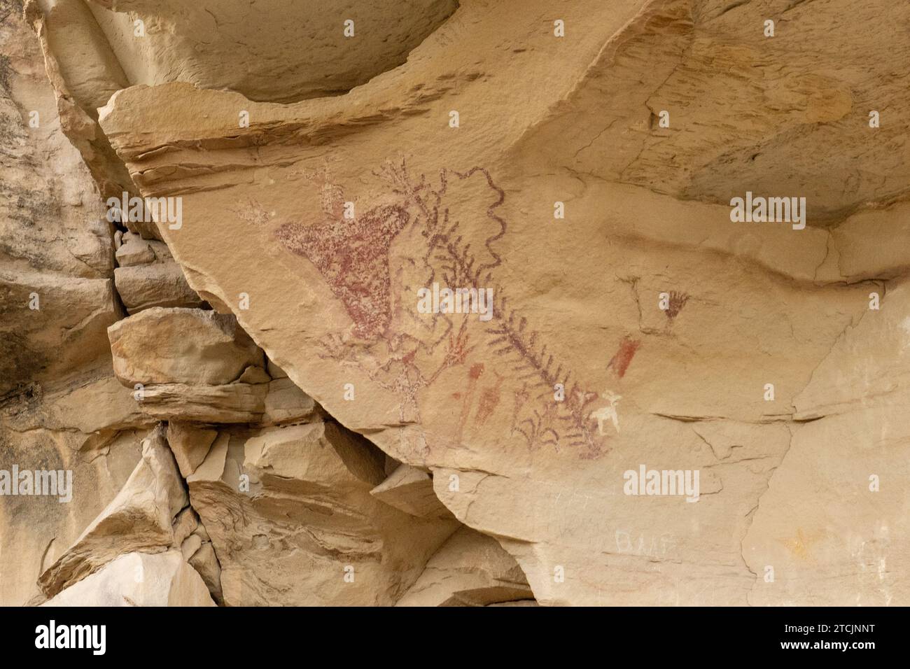 Pre-Hispanic pictographs at the Kokopelli Interpretive Site in the ...
