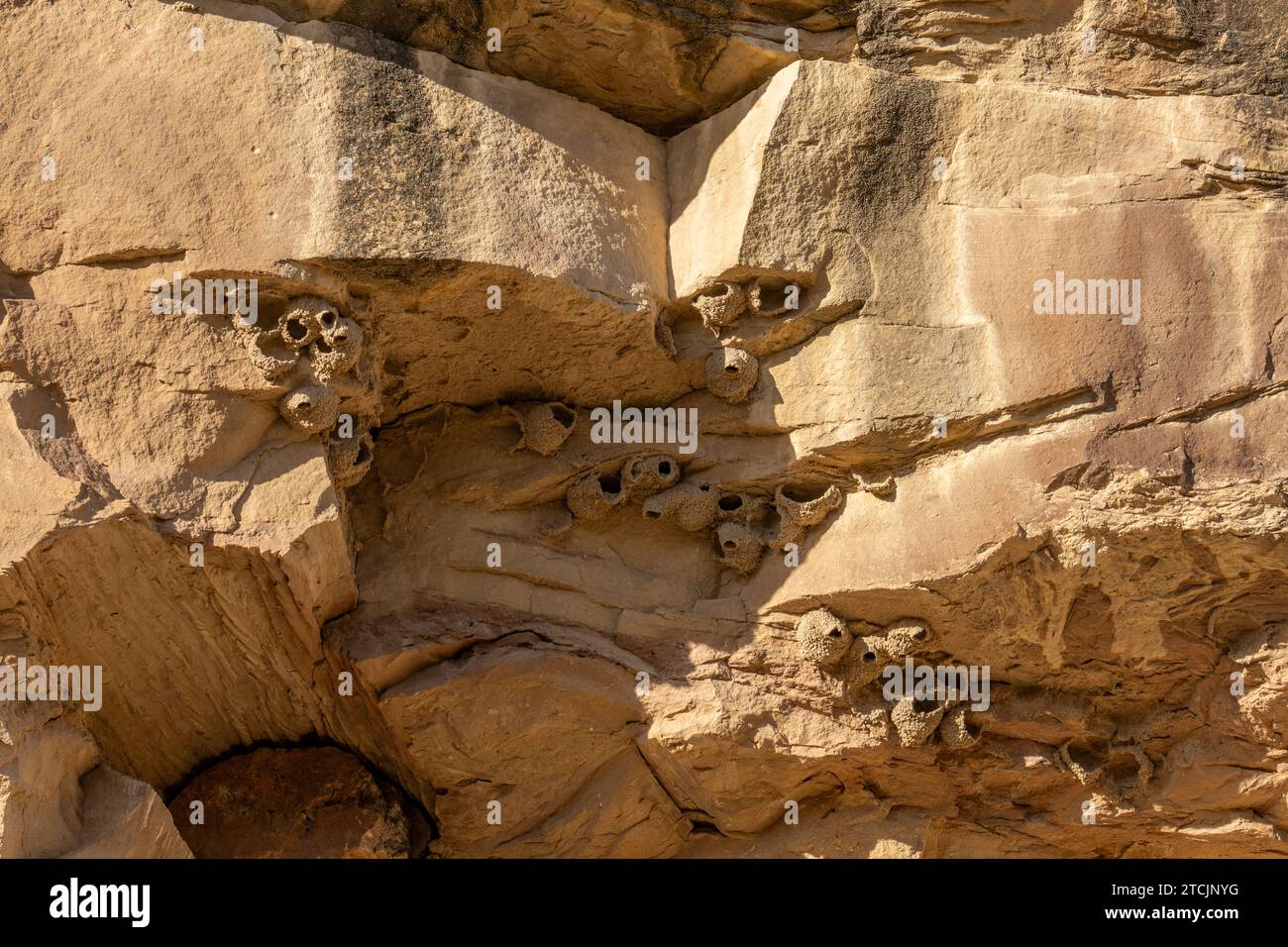 Canyon pintado historic district hi-res stock photography and images ...