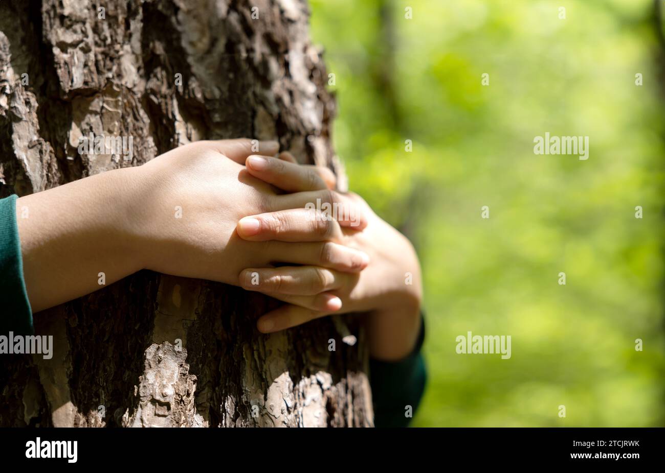 hands hugging a pine tree in the forest Stock Photo - Alamy