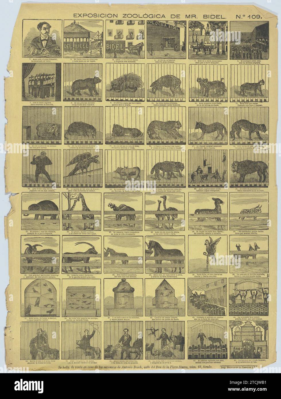 Broadside with 48 scenes depicting animals from Mr Bidel's zoo in ...