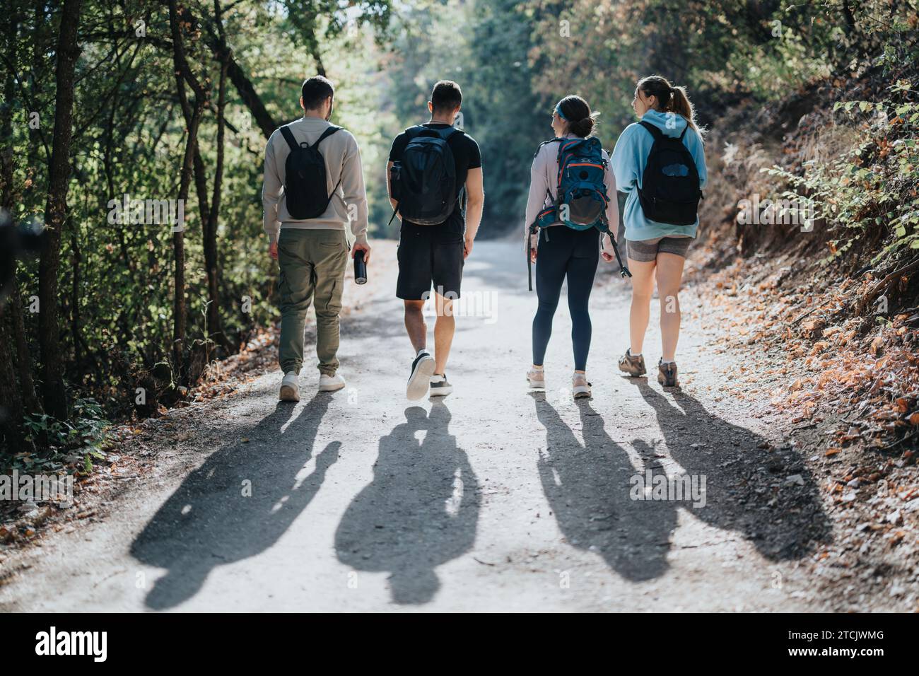 Adventurous Friends Enjoying a Fun Hike in the Autumn Forest Stock ...
