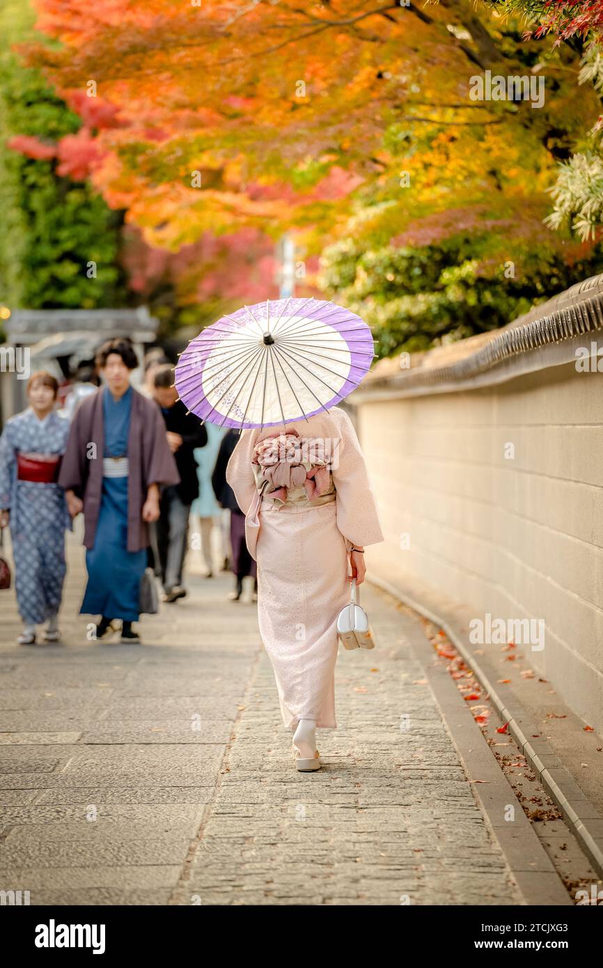 Japanese Kimono Portrait back view photography. Kyoto, Japan ...