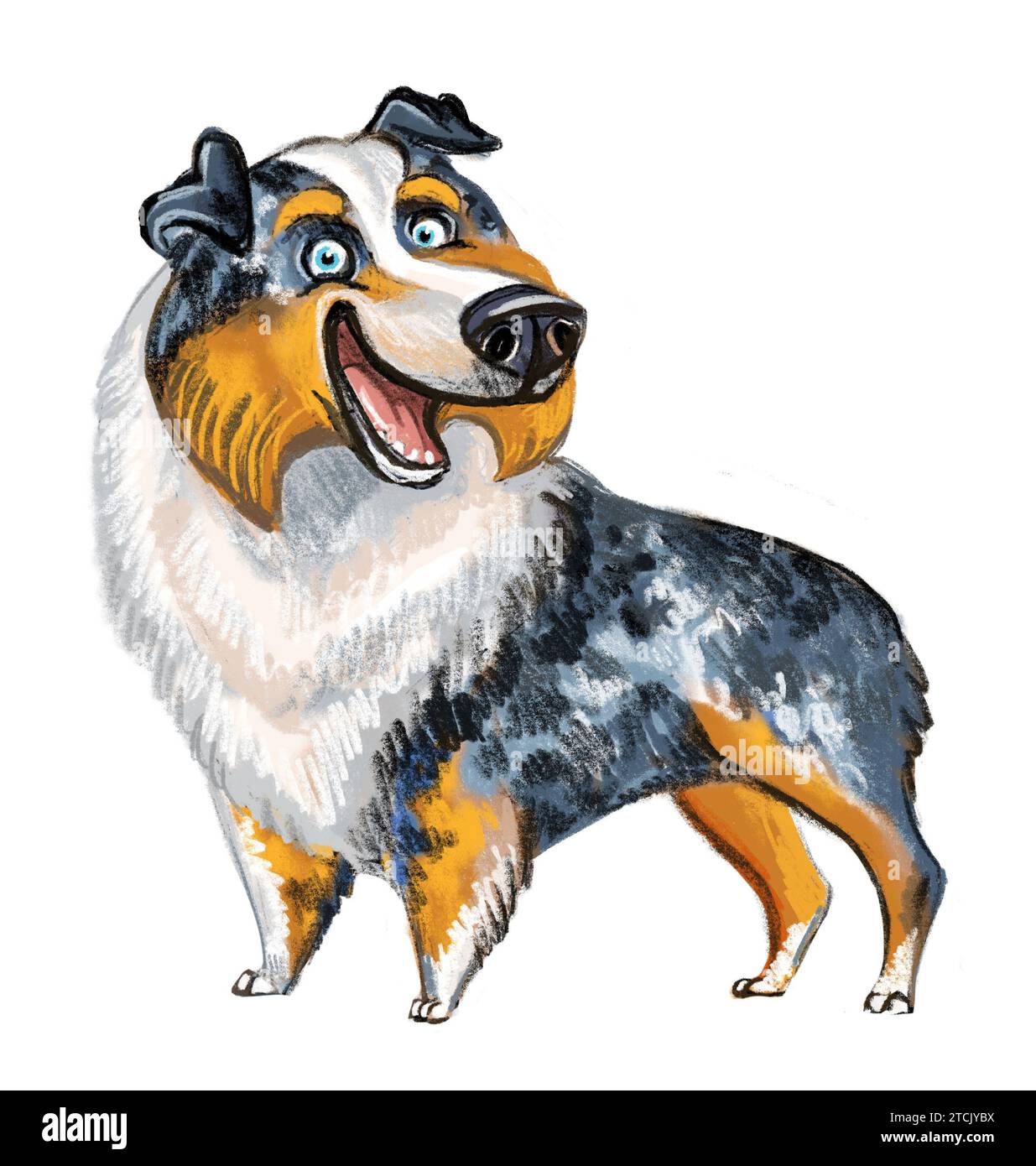 Cute funny cartoon dog character. Australian Shepherd dog breed ...