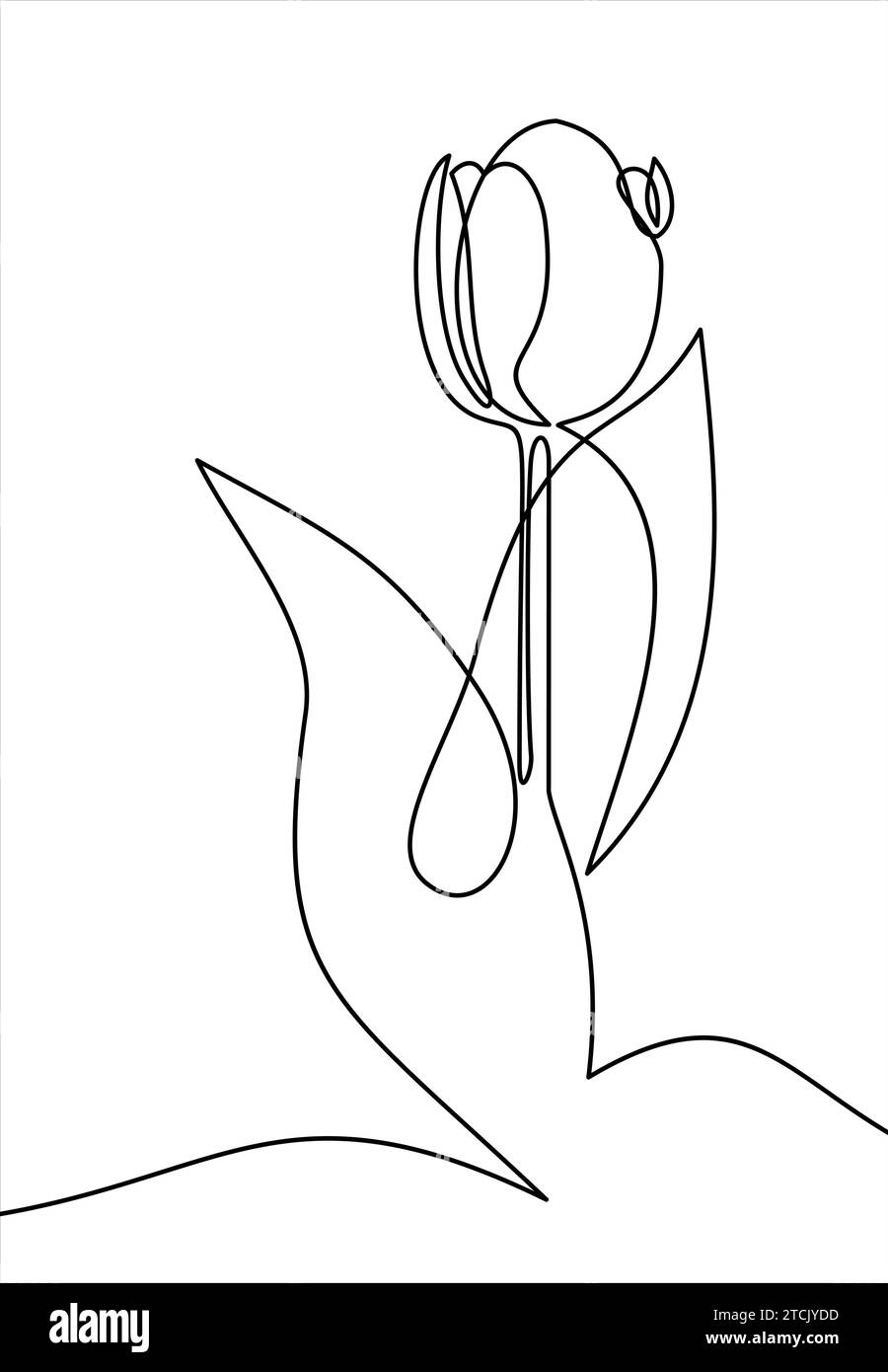 Tulip one line drawing. Continuous line flower Stock Vector Image & Art - Alamy