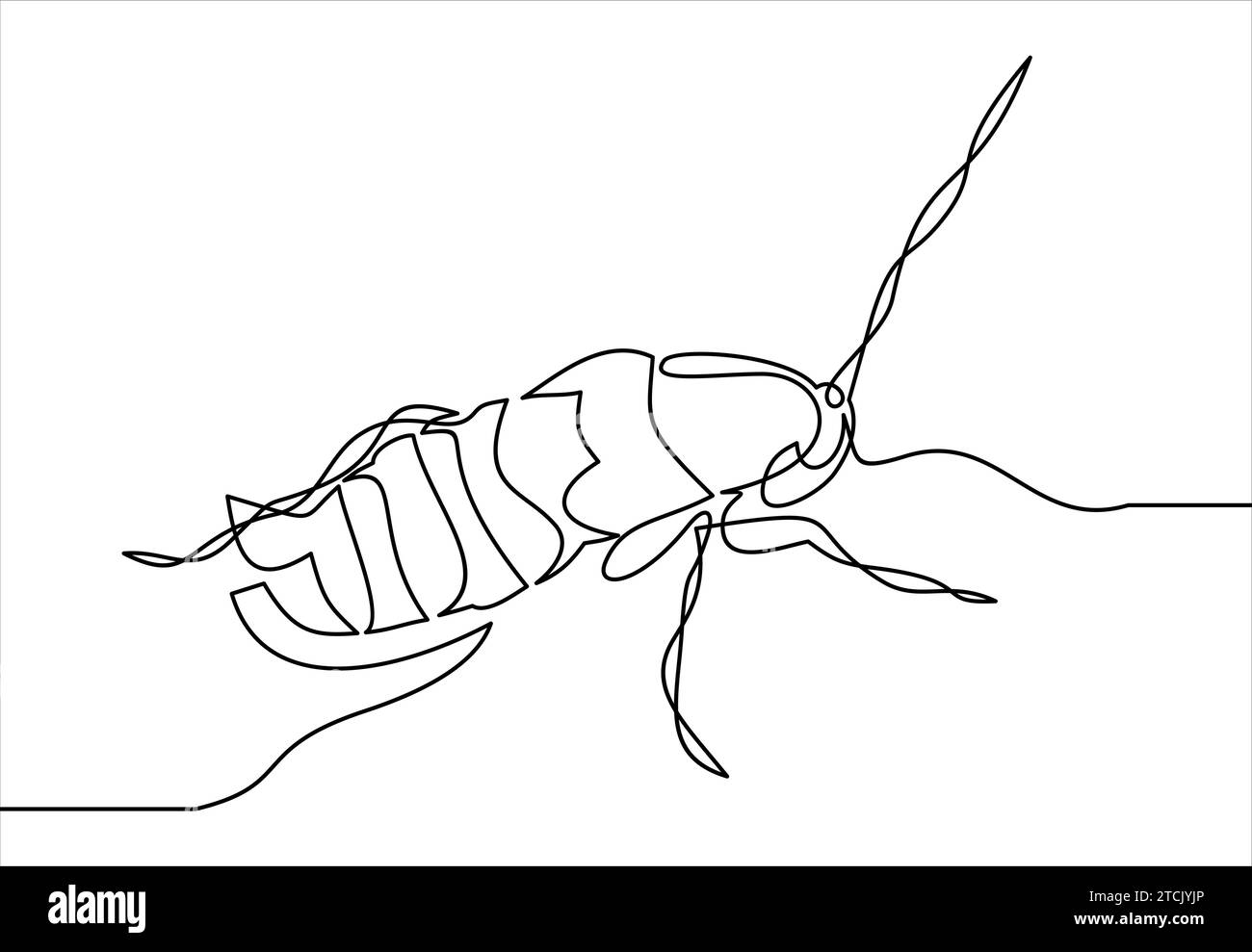 Cockroach drawing Black and White Stock Photos & Images - Alamy