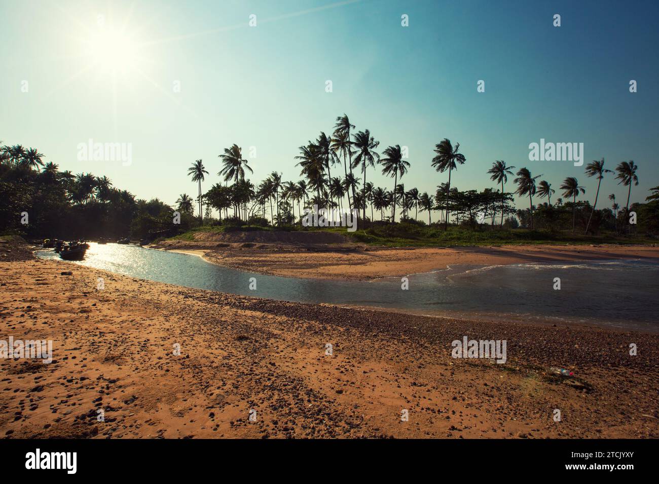 Koh samui coconut palm trees hi-res stock photography and images - Alamy