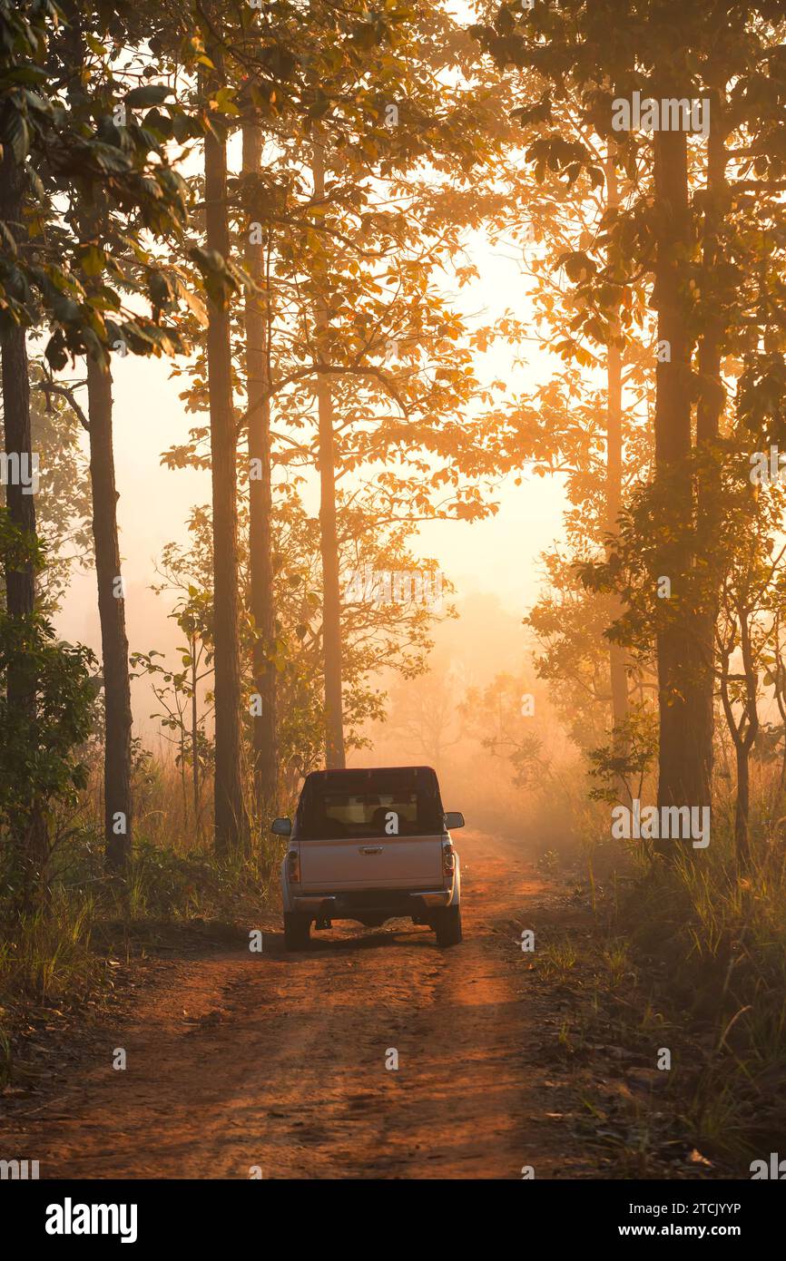 Gravel road in the forest hi-res stock photography and images - Alamy