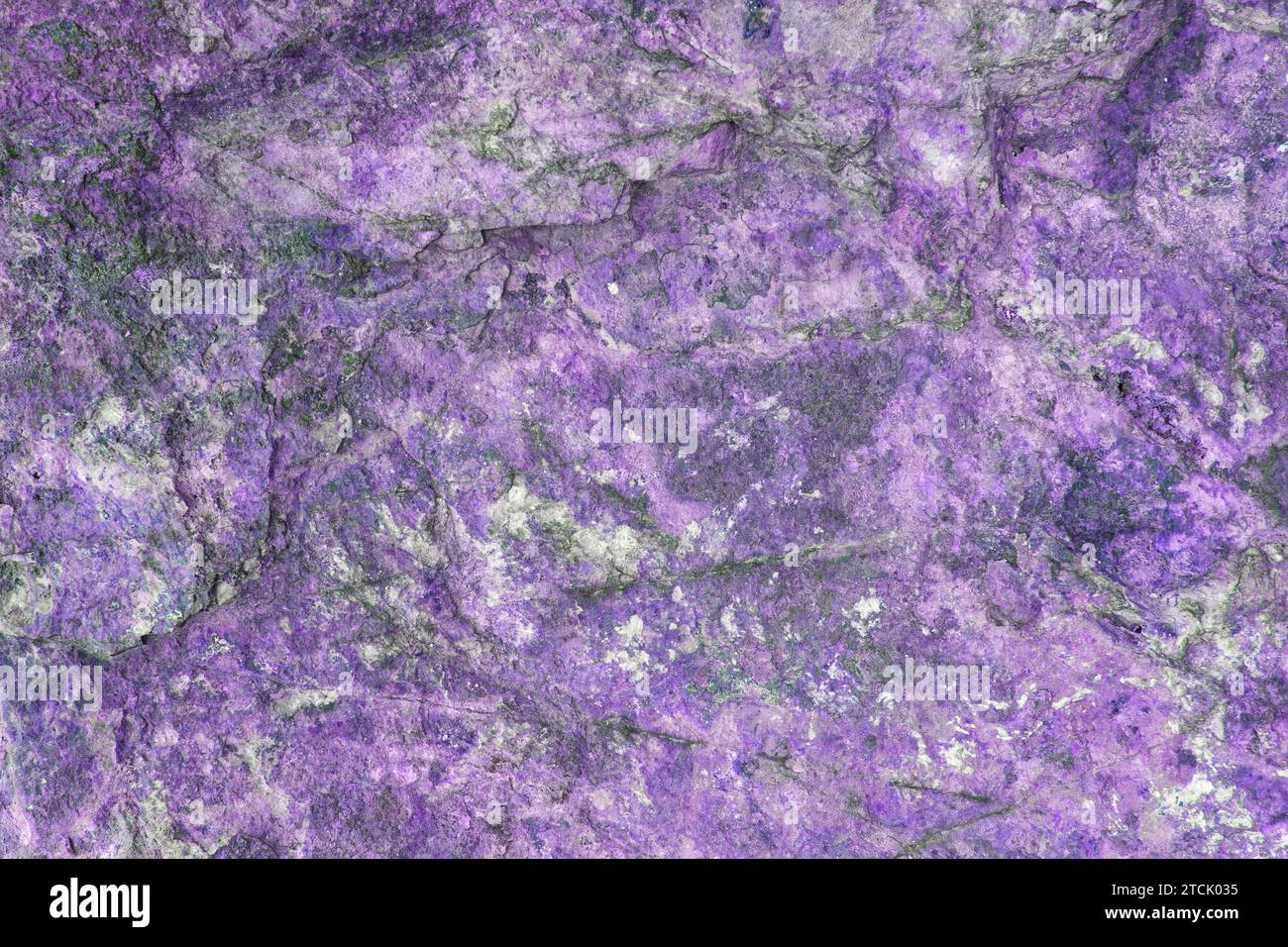 Purple marble granite stone slab hi-res stock photography and images ...