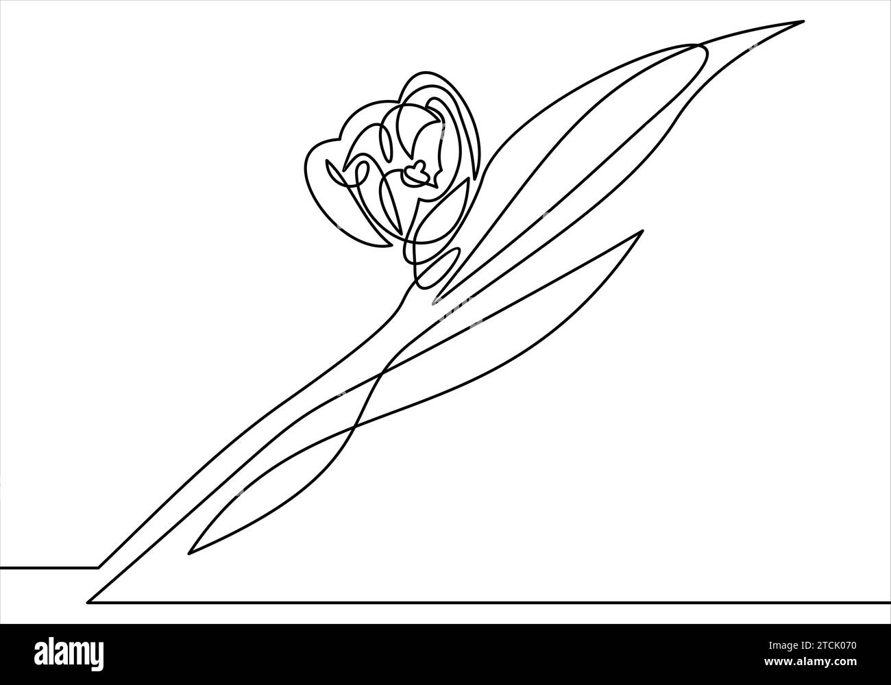 Tulip flower one continuous Stock Vector Images - Alamy