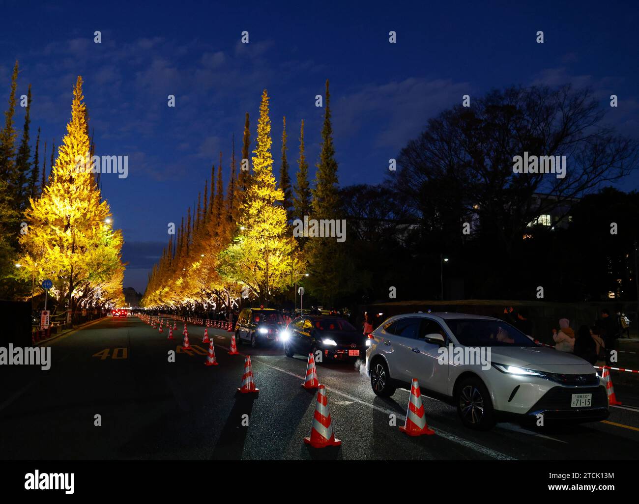 MEIJI JINJU GAIEN GINGKO AVENUE LIGHT UP Stock Photo - Alamy