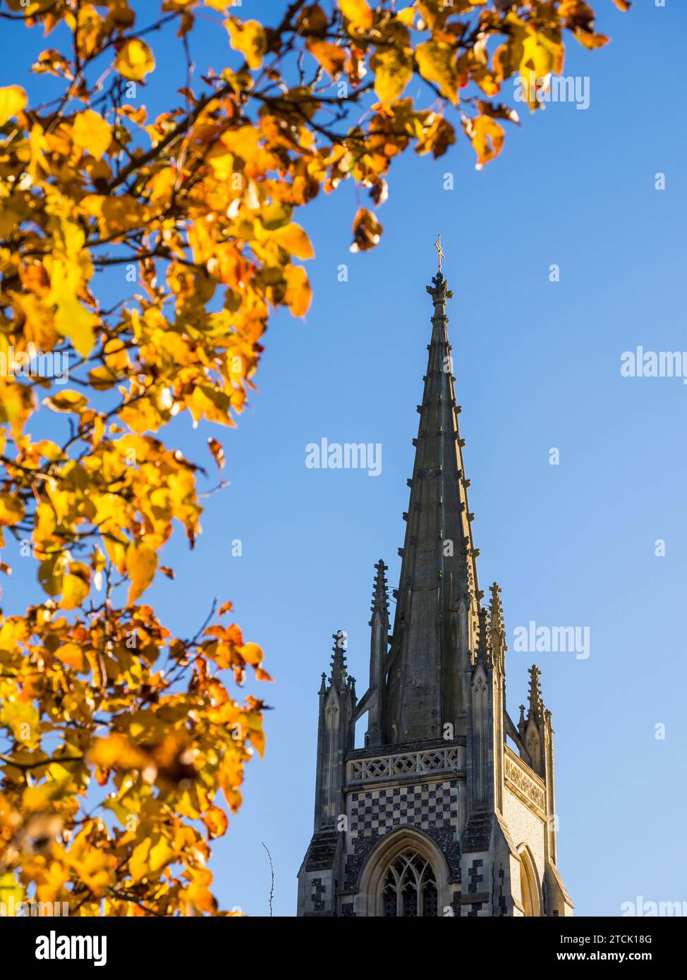 Spire of All Saints Church, with Autumn Tree, Marlow, Buckinghamshire ...