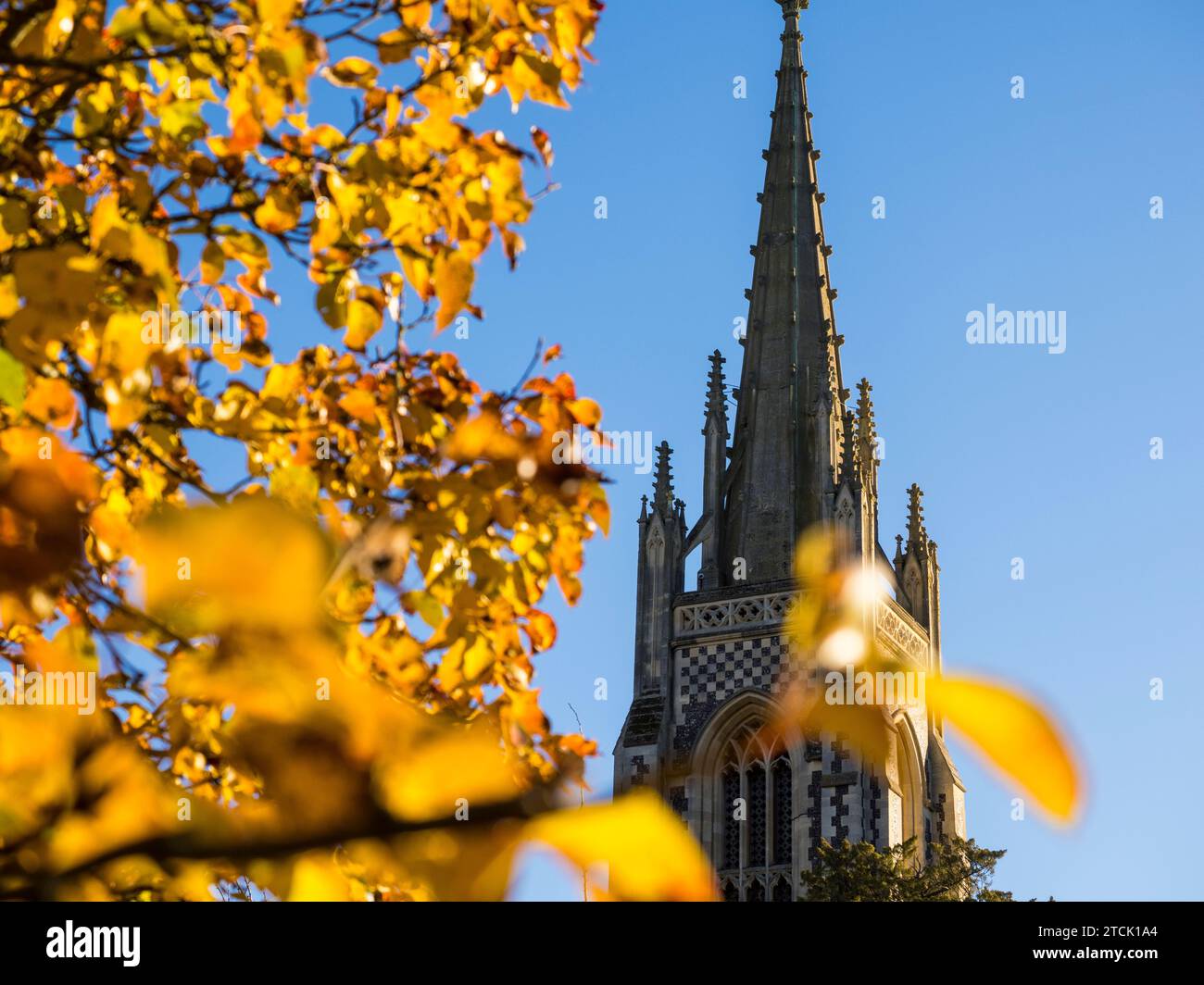 Spire of All Saints Church, with Autumn Tree, Marlow, Buckinghamshire ...