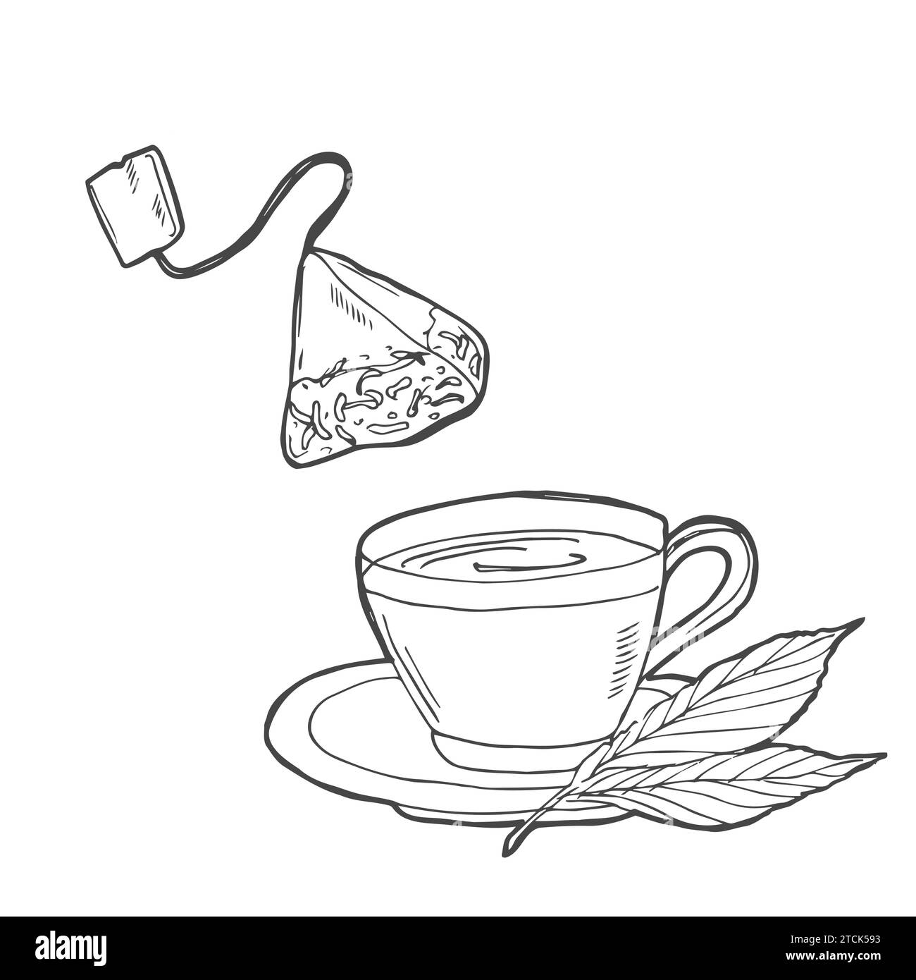 Tea Bag Line Drawing Hand Brews Tea Bag Sketch Vector Illustration,