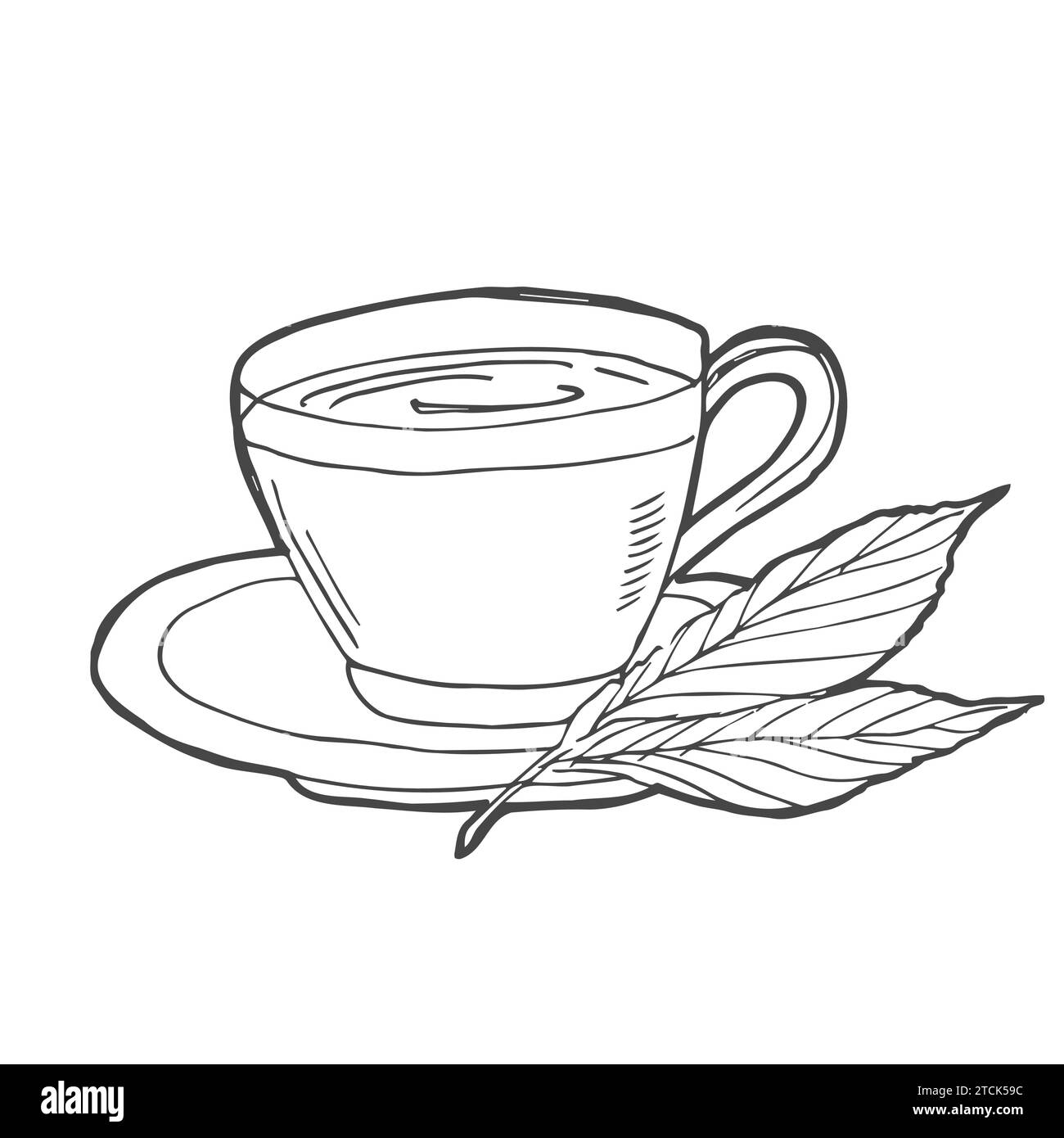 Cup with tea bag hand drawn outline doodle icon. Hot drink - tea cup ...