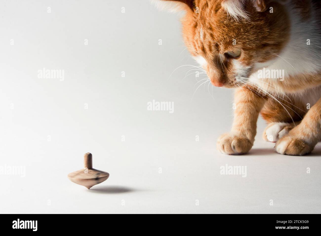 Top cat toy hi-res stock photography and images - Alamy