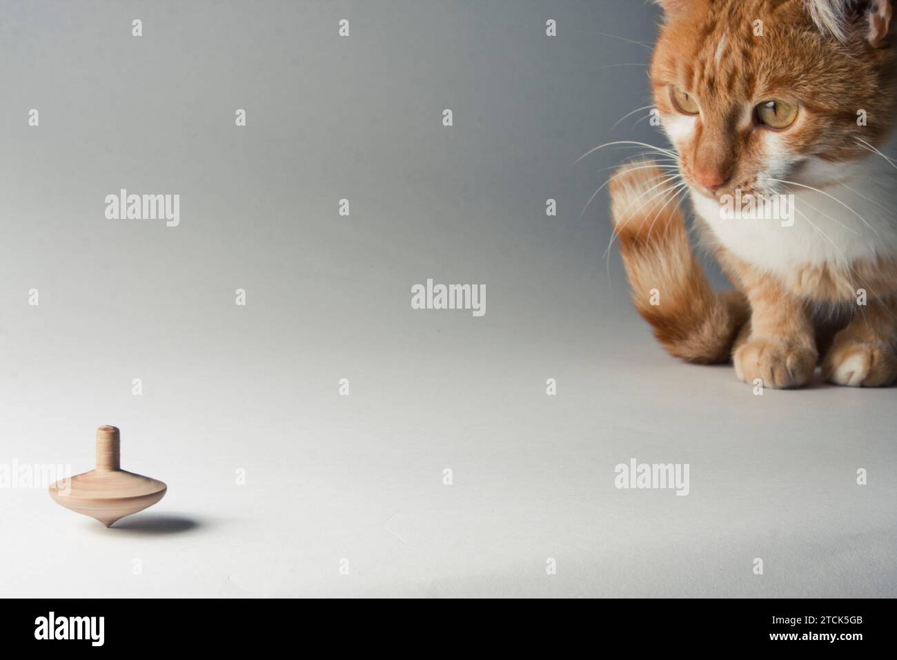 Top cat toy hi-res stock photography and images - Alamy