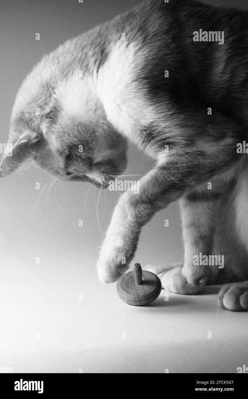 Spinning top Black and White Stock Photos & Images - Alamy