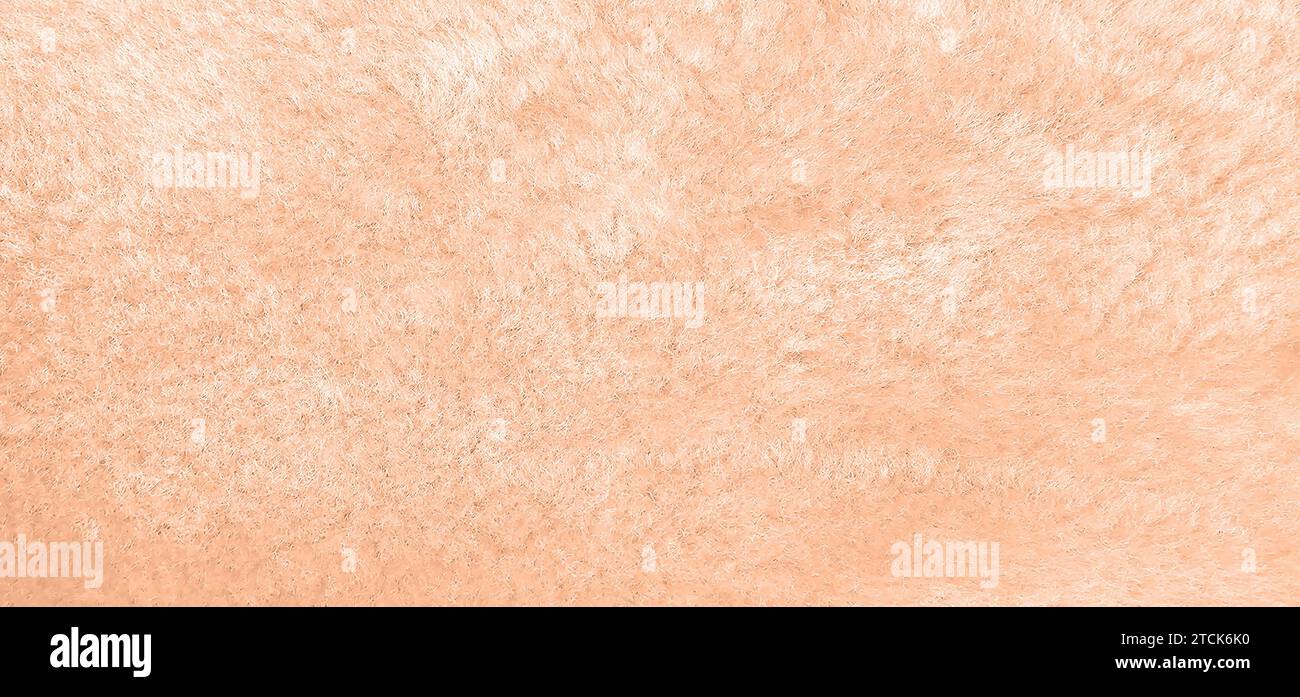 Fluffy suede closeup of 2024 trend color: peach fuzz, background ...