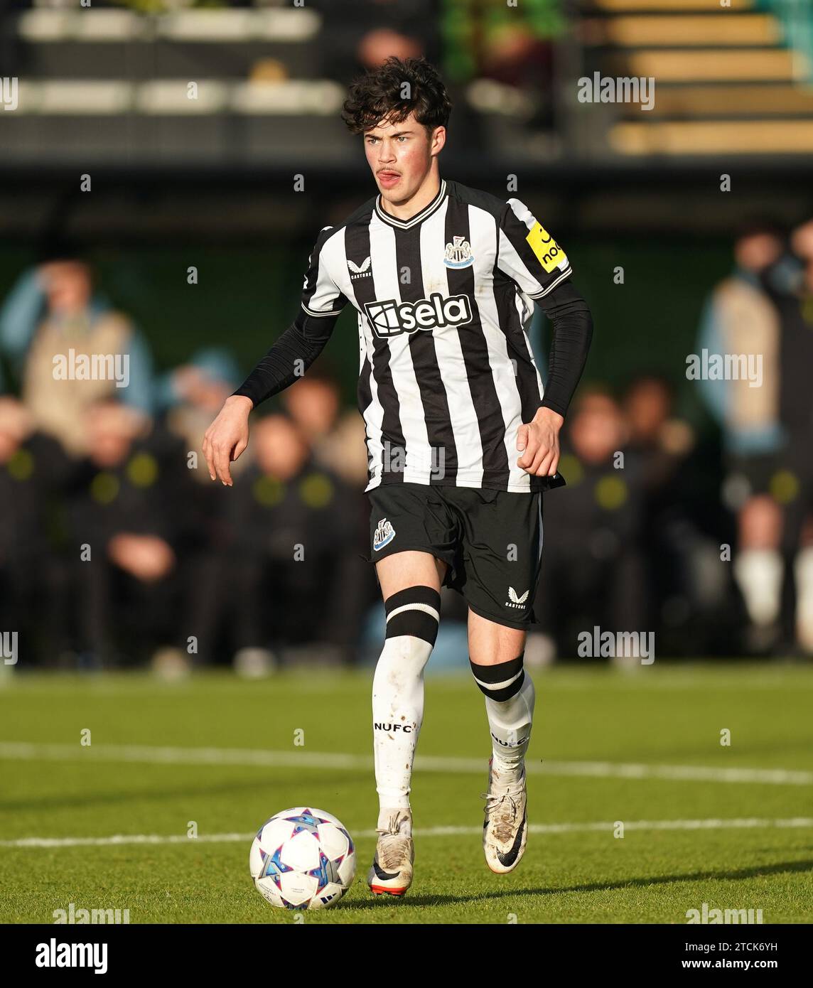 Leo shahar hi-res stock photography and images - Alamy