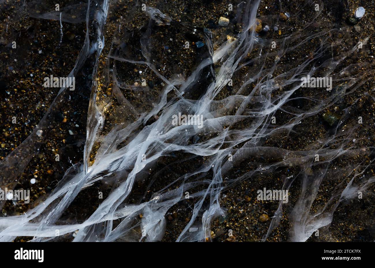 Natural ice background with methane bubbles and cracks on the surface ...