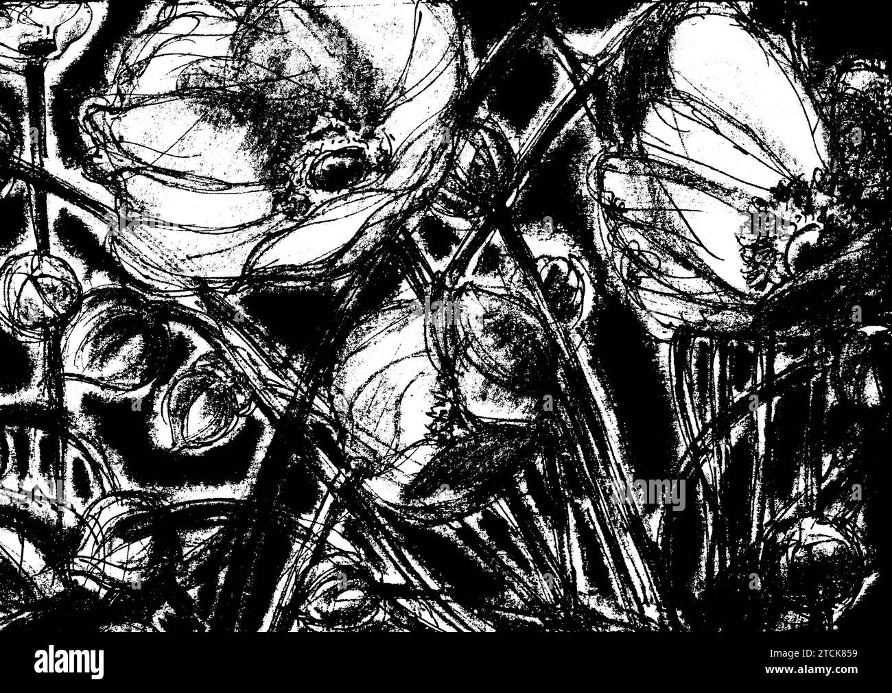 Black and white etching of poppy flowers Stock Photo - Alamy