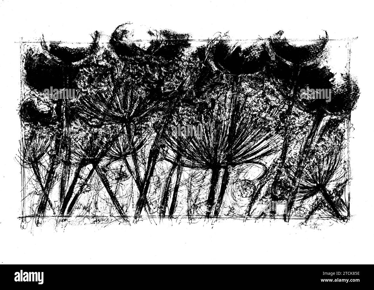 Ink pencil leaves flowers Black and White Stock Photos & Images - Alamy