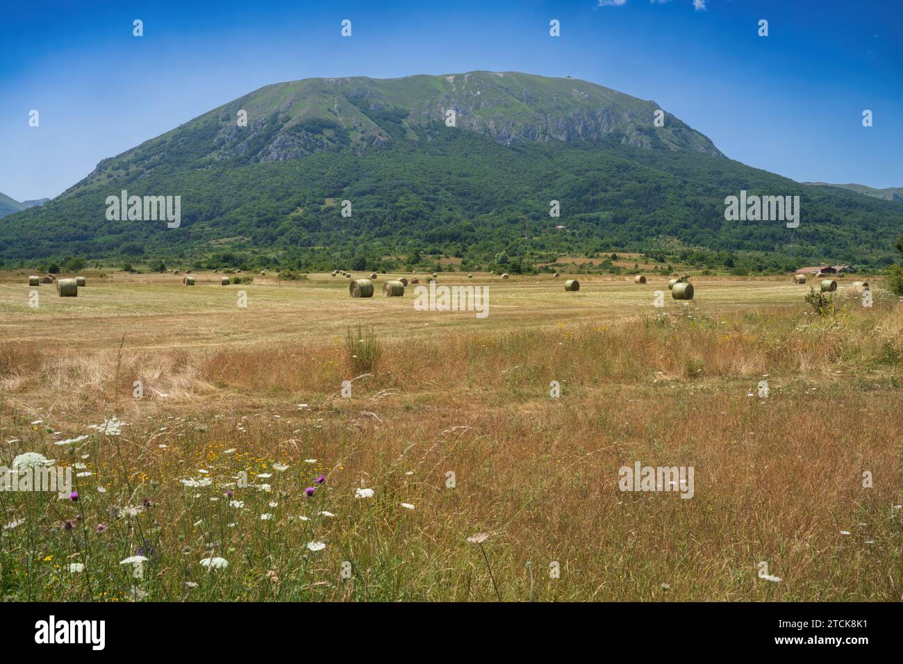 Rural landscape in the Altopiano delle Rocche, L Aquila province ...