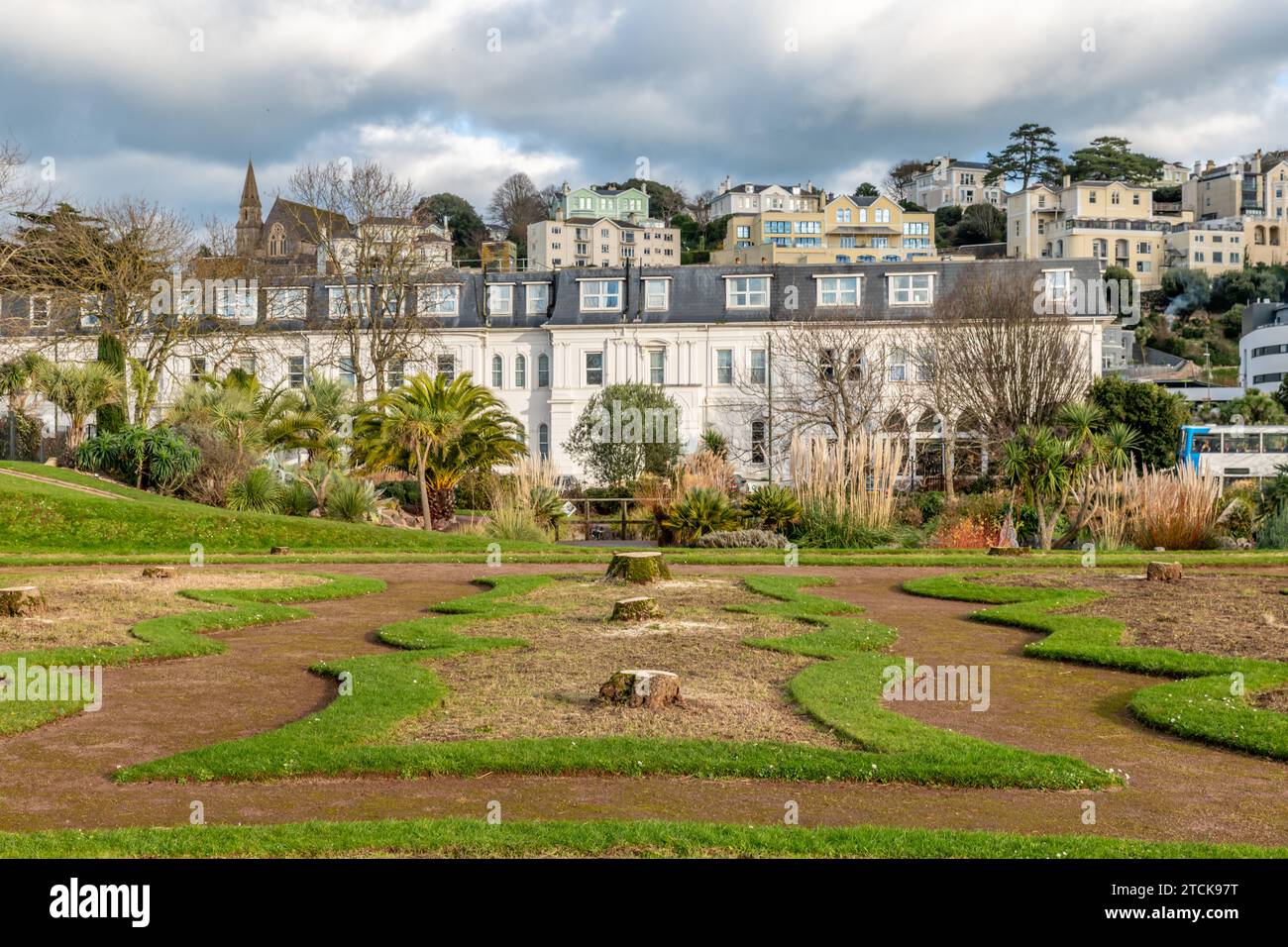 Torbay palm tree hi-res stock photography and images - Alamy