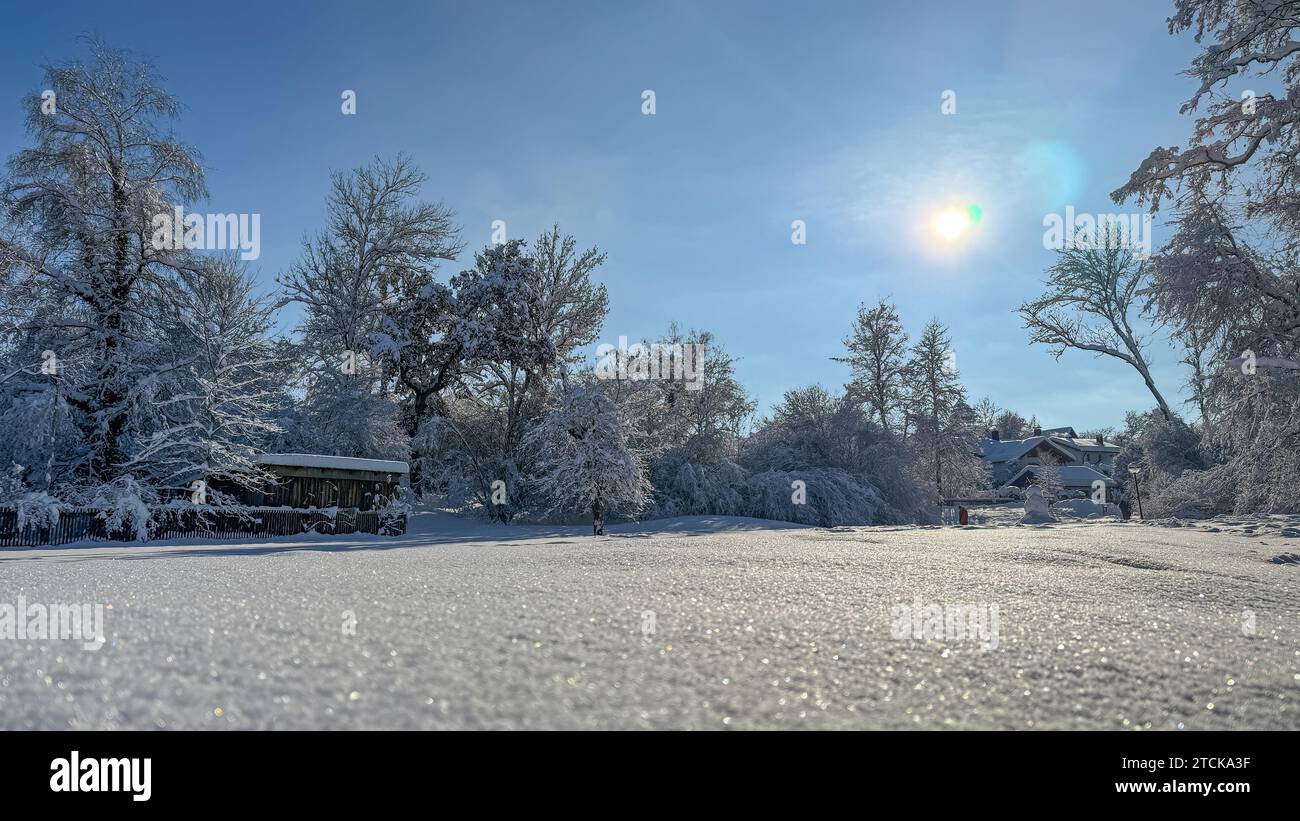Enchanted Winter Wonderland with Sparkling Snow Stock Photo - Alamy