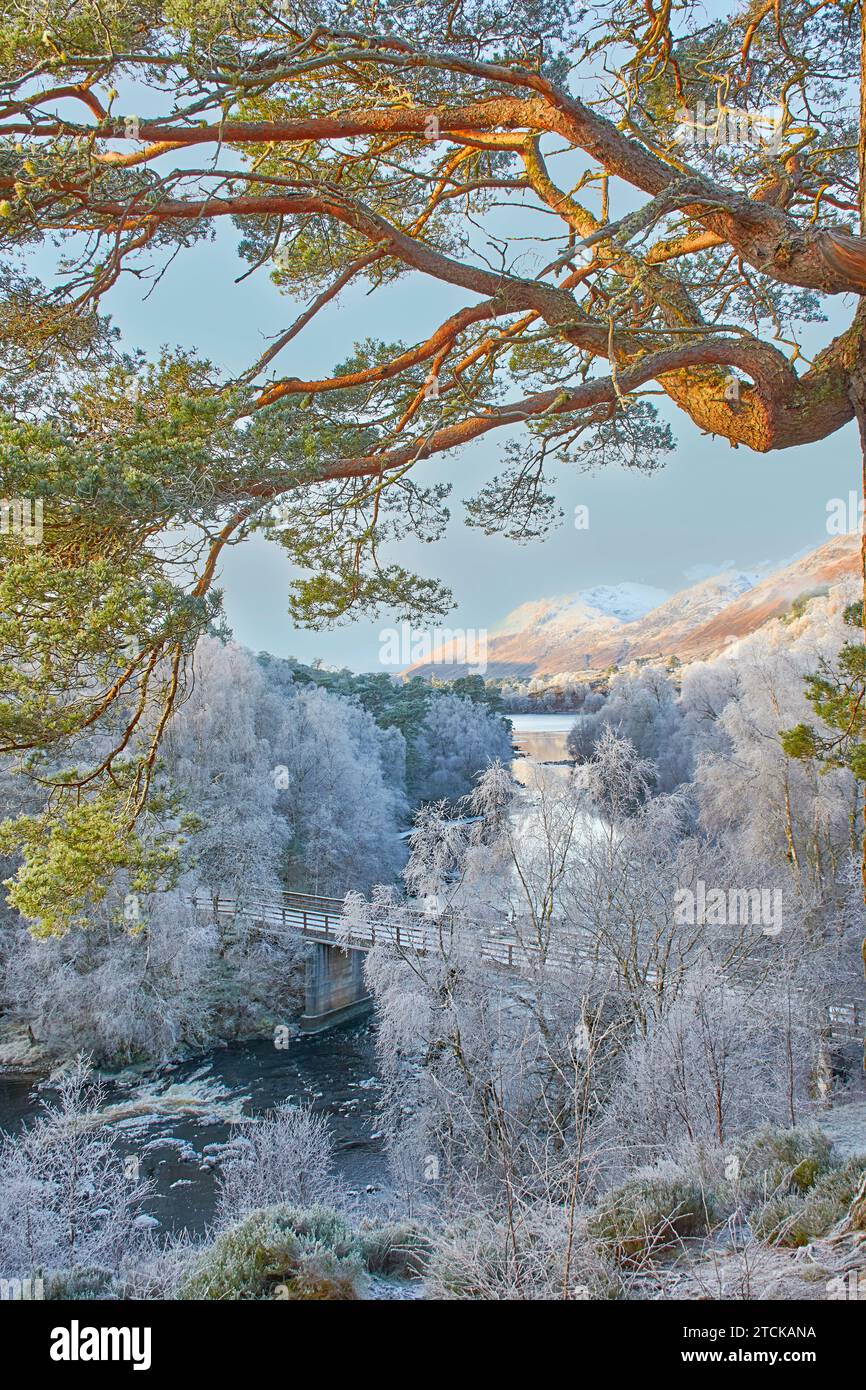 Glen Affric Cannich Scotland the river and bridge on an early sunny ...
