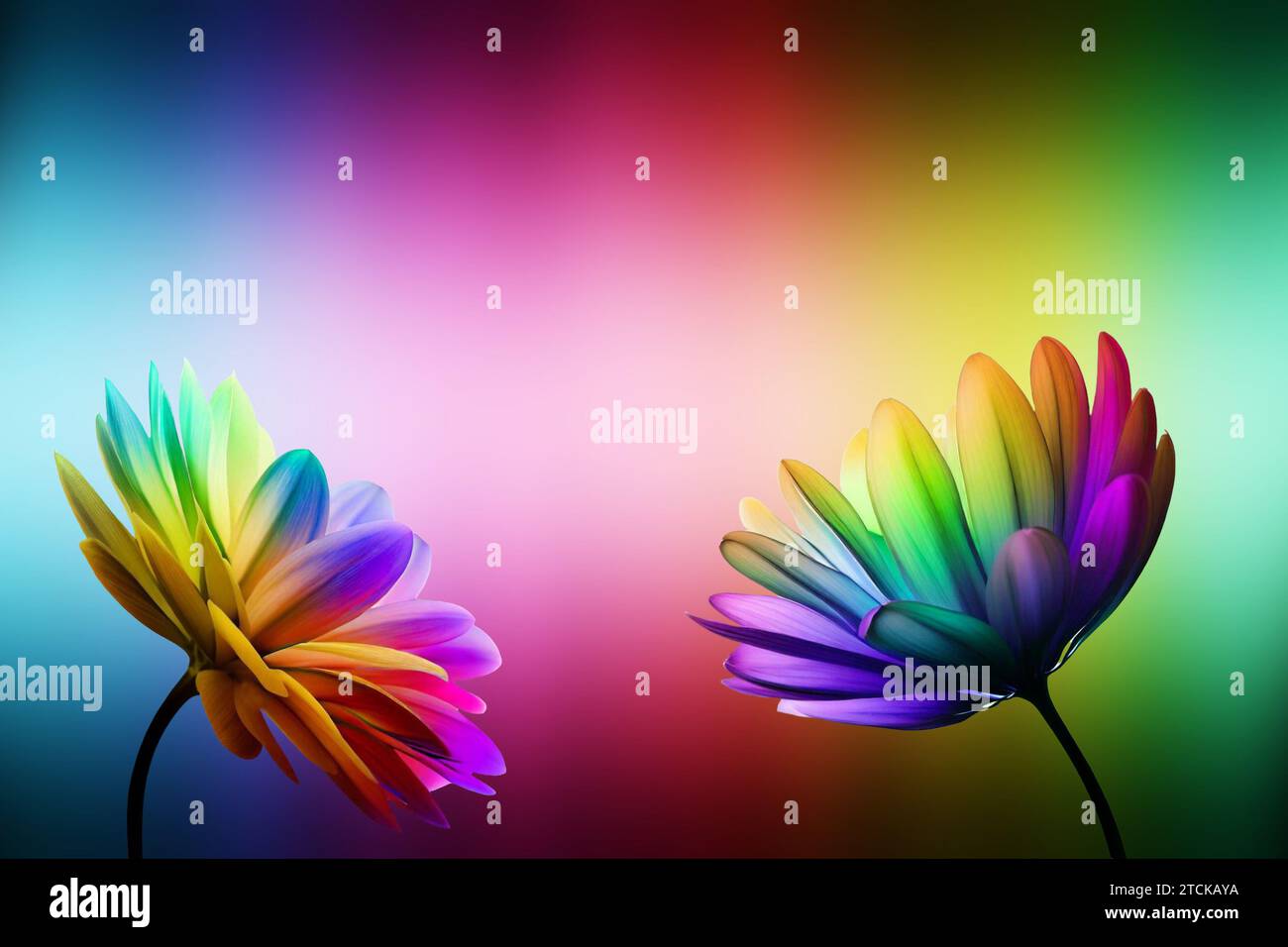 Rainbow floral hi-res stock photography and images - Alamy