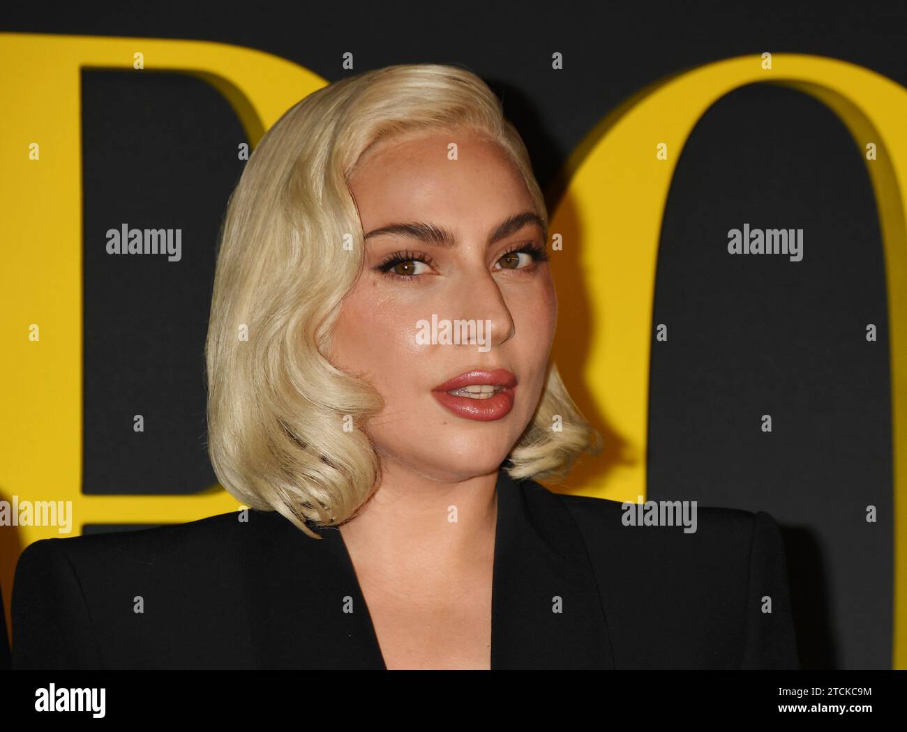 LOS ANGELES, CALIFORNIA - DECEMBER 12: Lady Gaga attends Netflix's ...