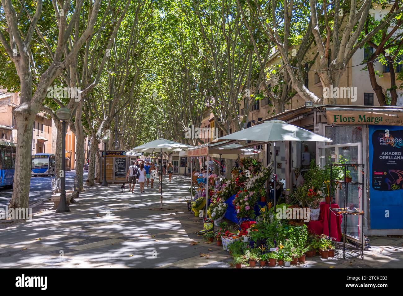 Poststadt In Zentral Mallorca