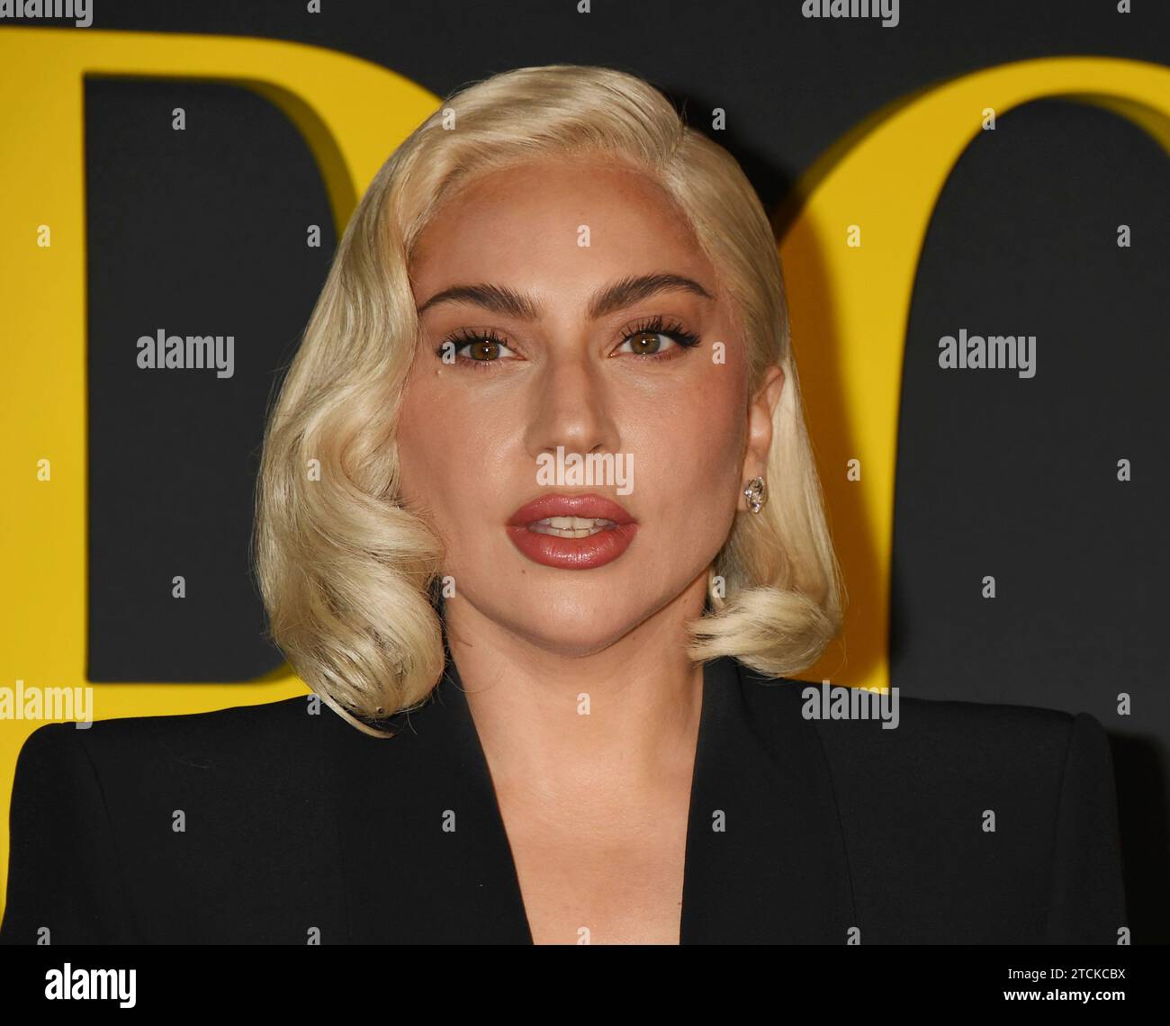 LOS ANGELES, CALIFORNIA - DECEMBER 12: Lady Gaga attends Netflix's ...