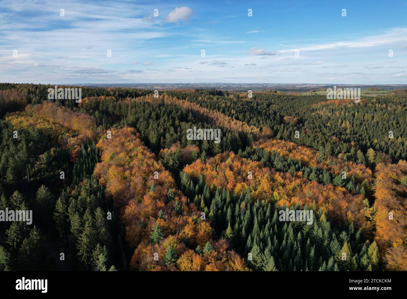 A scenic landscape featuring a small forest with vibrant, colorful ...