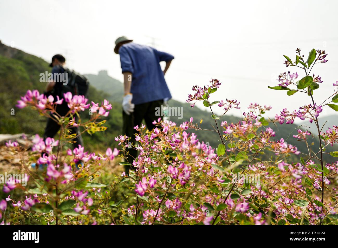(231213) -- BEIJING, Dec. 13, 2023 (Xinhua) -- This photo taken on Sept ...